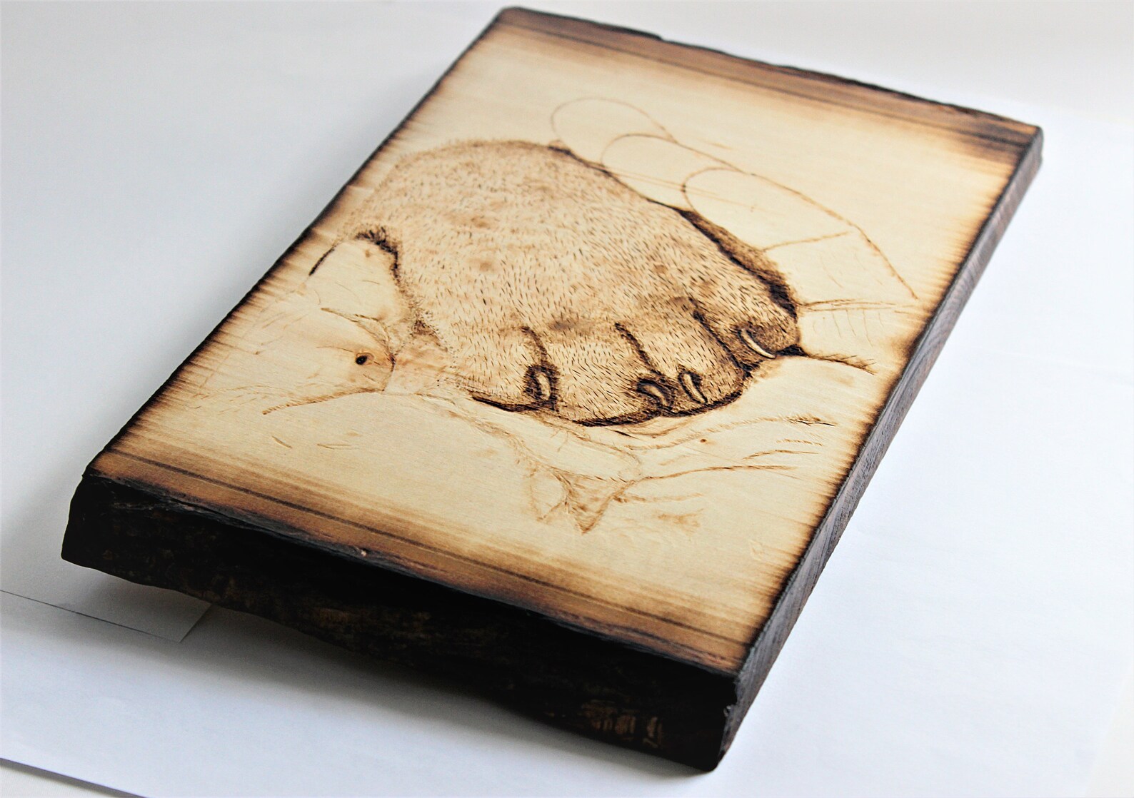 Dog Paw in Hand Wood Burned Original Pyrograpy Art Animal - Etsy