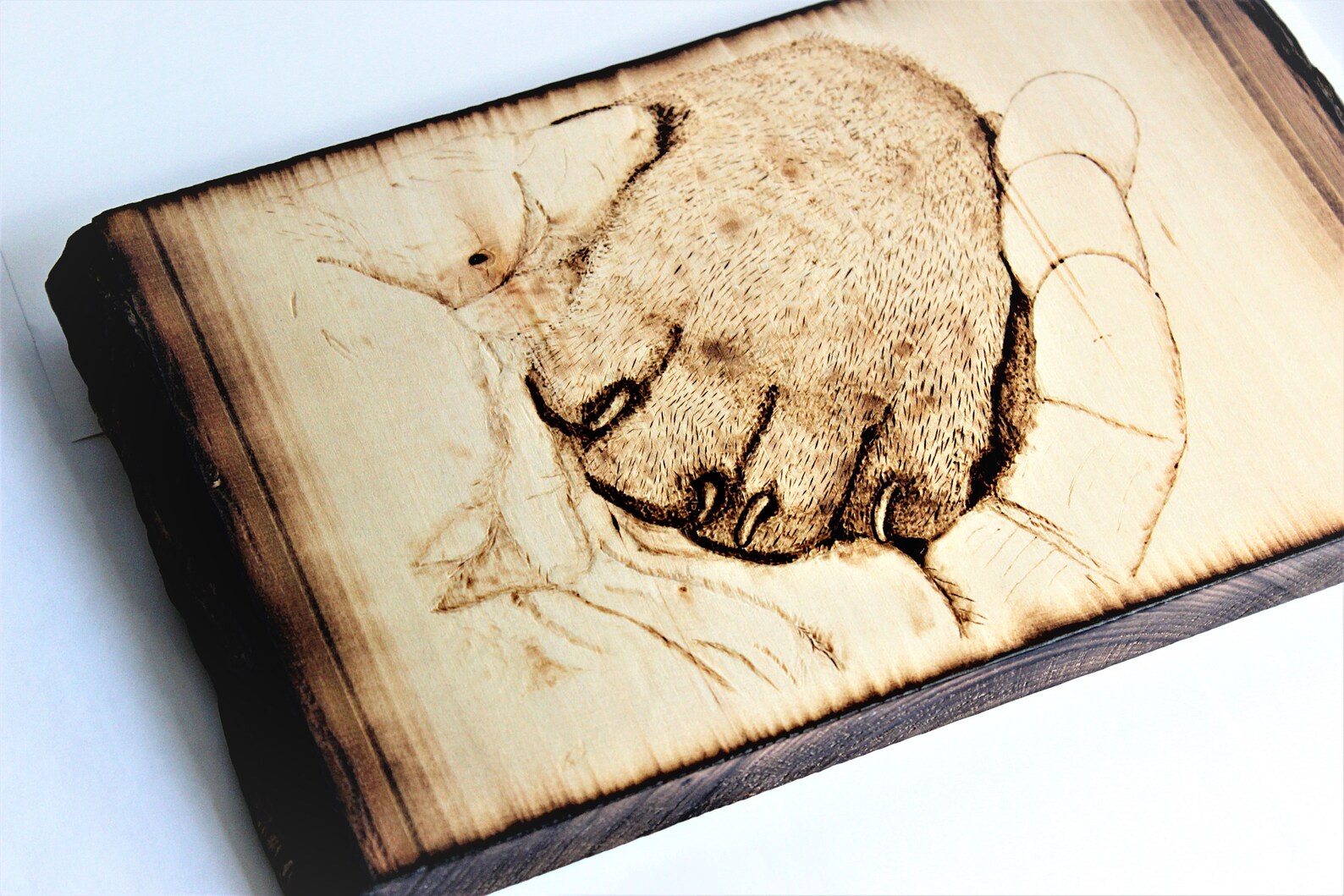 Dog Paw in Hand Wood Burned Original Pyrograpy Art Animal - Etsy