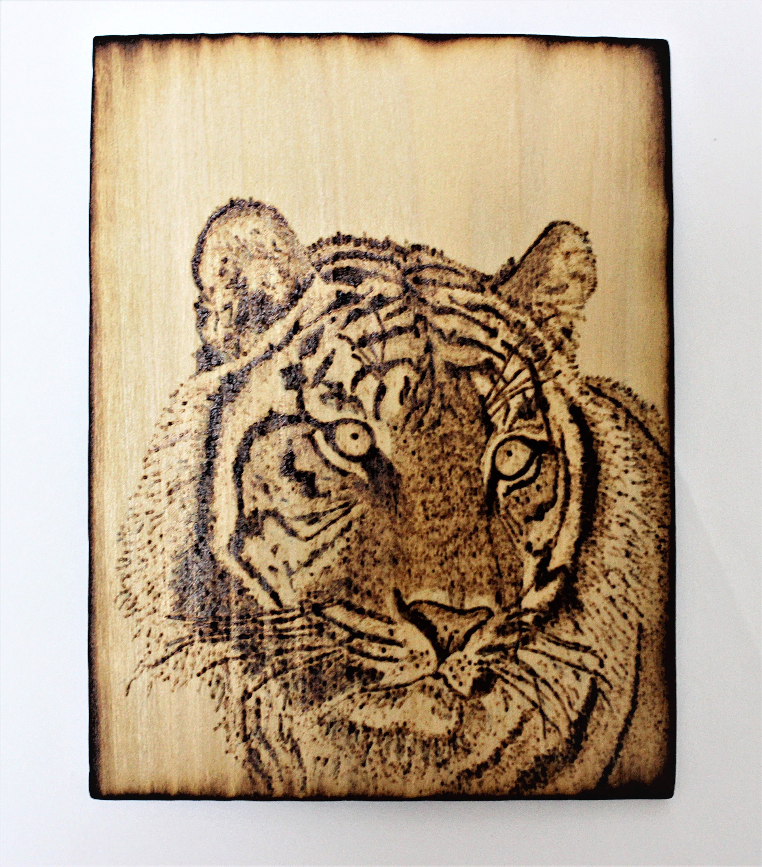 Wood Burned Tiger Portrait Wildlife Big Cat Pyrography - Etsy