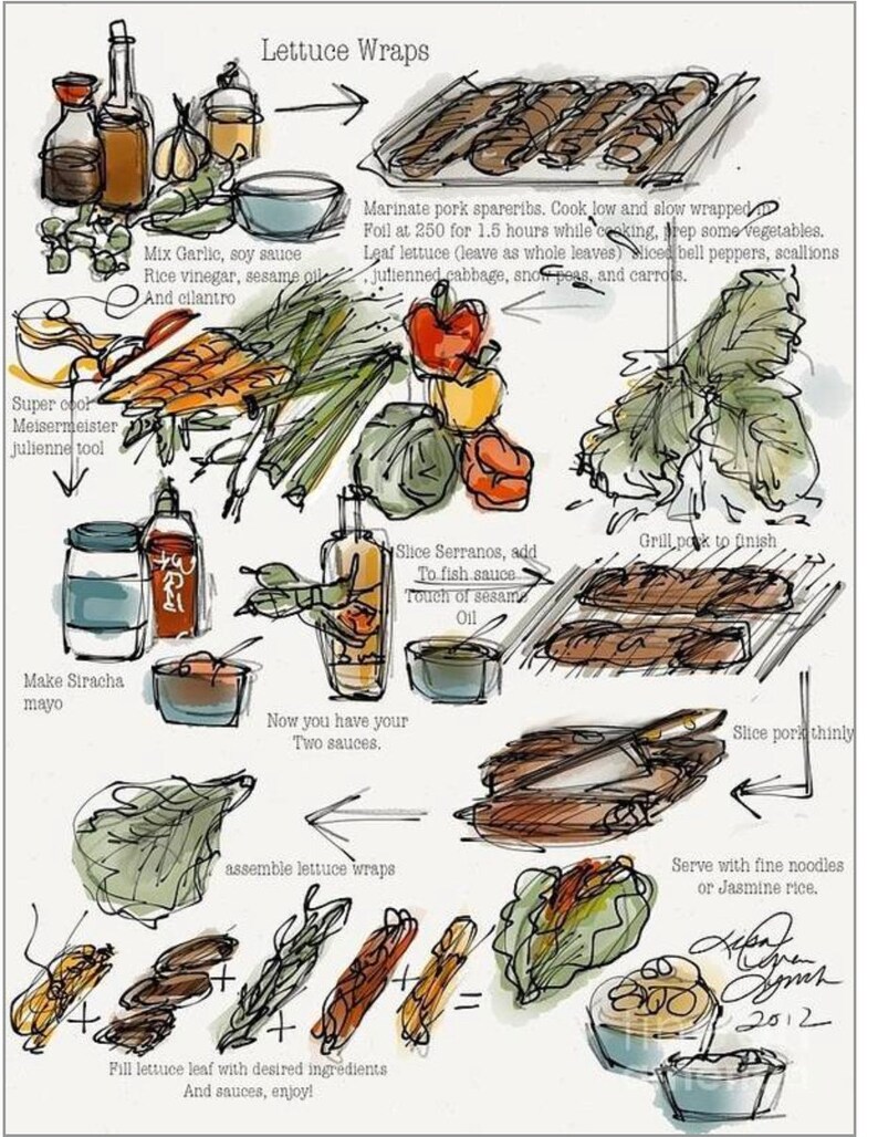 Lettuce Wrap Illustration by Lisa Owen - Etsy
