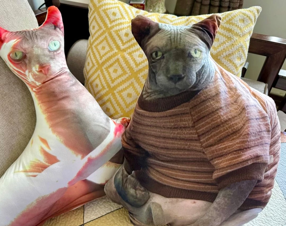 Custom Ugly Cat Pillow, Custom Ugly Dog Pillow, Personalized Funny Pet ...