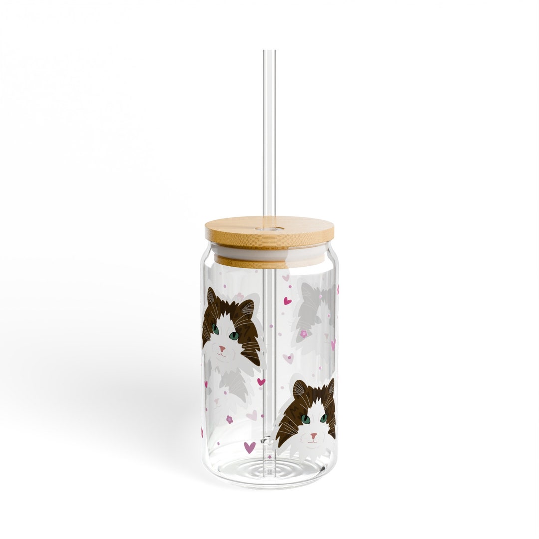 Hand-drawn Ragdoll Cat Glass Tumbler, Iced Coffee, Glass With Lid and ...