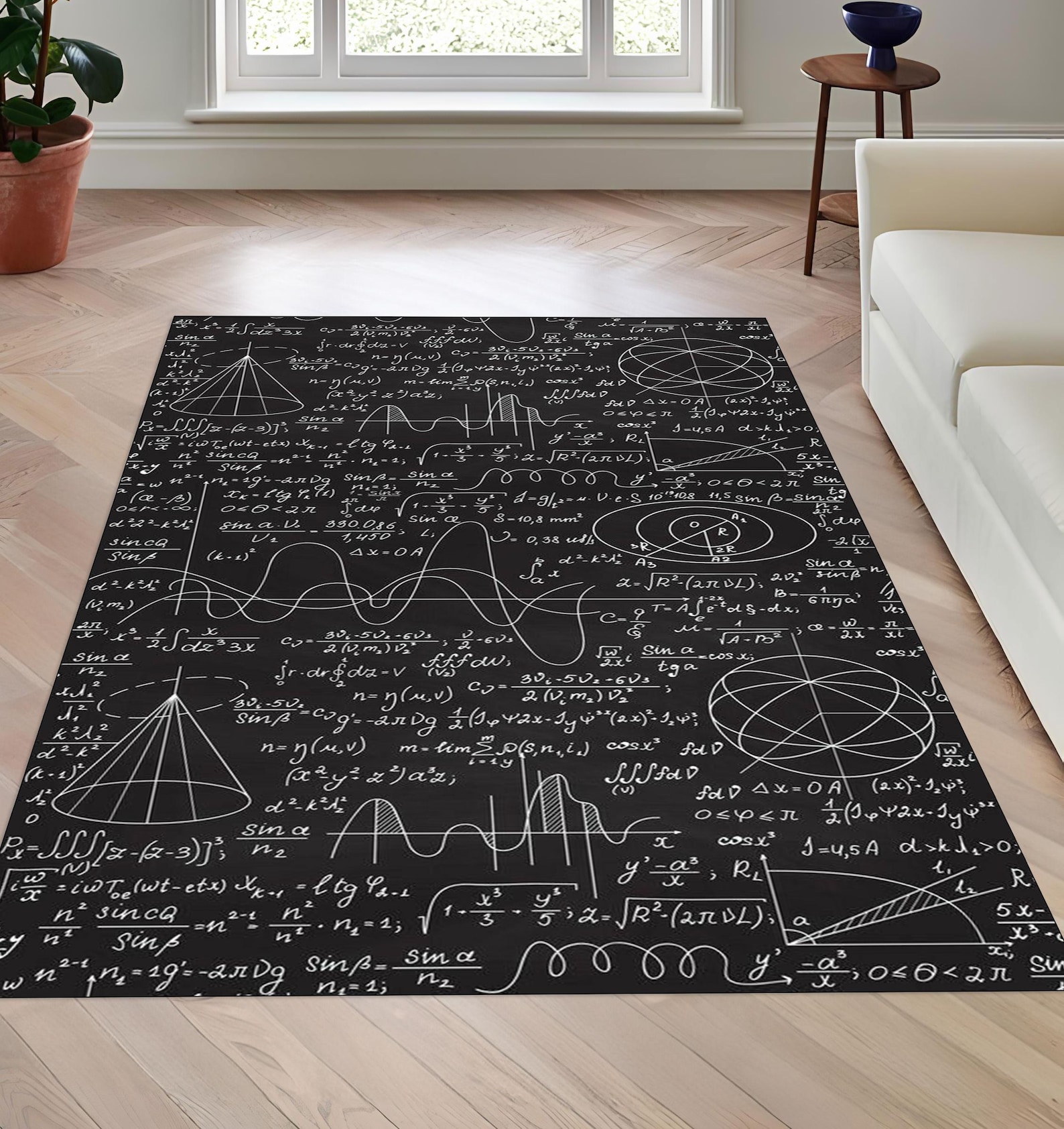 Scientific Equation Area Rug, Math Lover's Home Decor, Black White ...