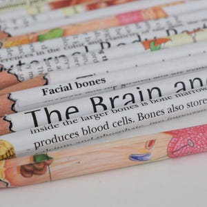 Hand Wrapped Pencils Human Body Edition Gift Set - Etsy
