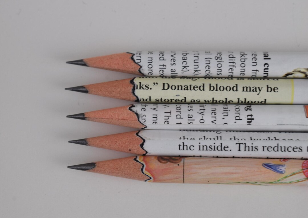 Hand Wrapped Pencils Human Body Edition Gift Set - Etsy