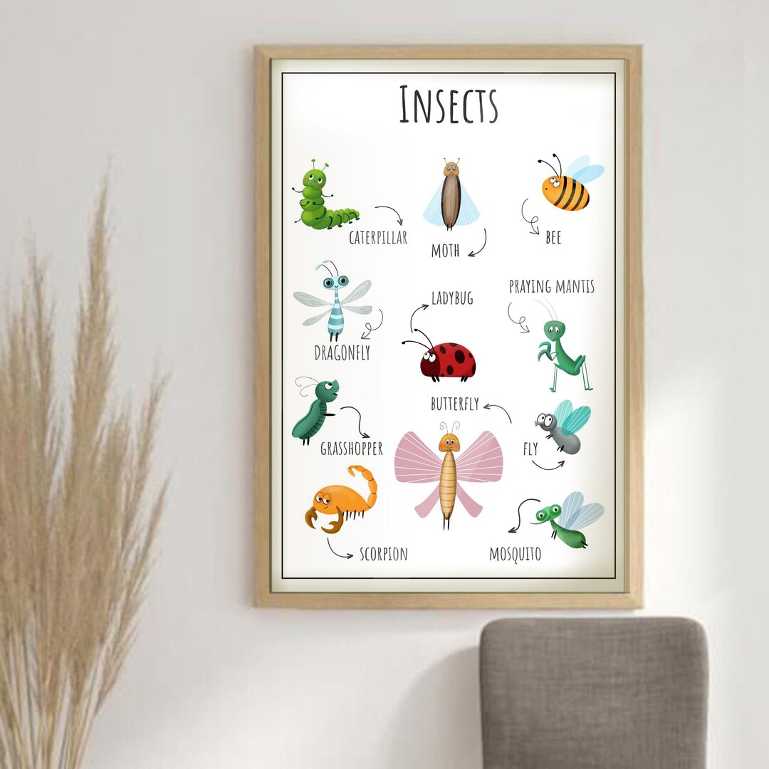Educational Bugs Poster| Insects Poster| Nature Classroom Décor ...