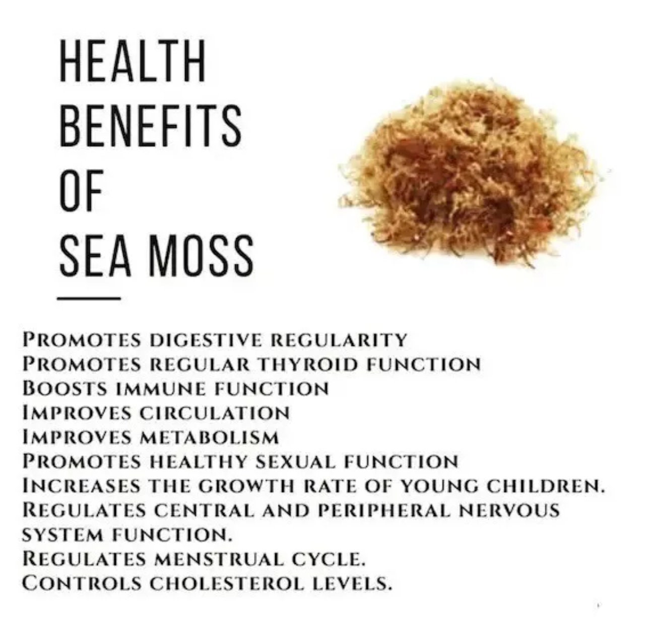 1 Lb Purple Chondrus Chrispus Real Irish Sea Moss Dr Sebi Approved Wild ...