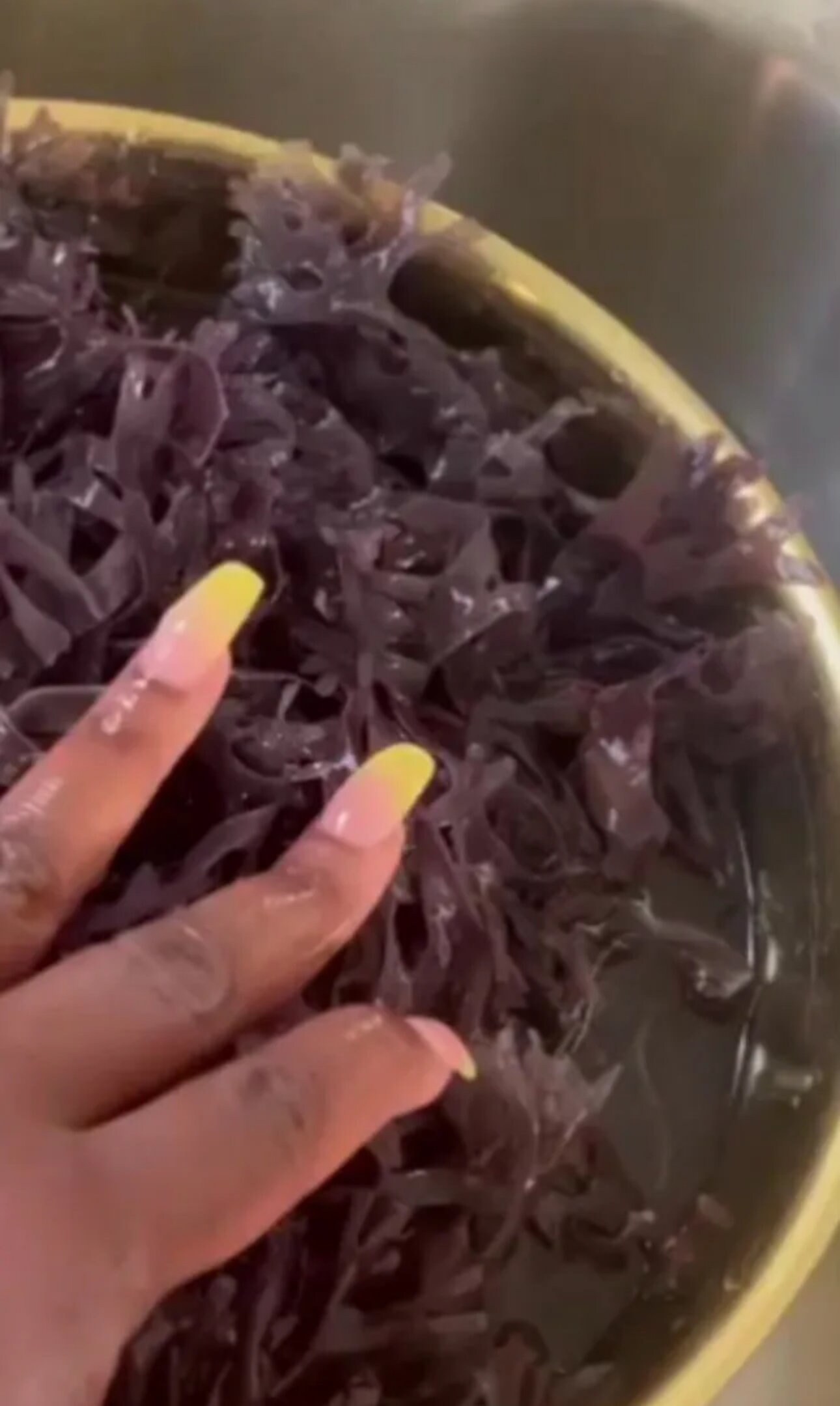 1 Lb Purple Chondrus Chrispus Real Irish Sea Moss Dr Sebi Approved Wild ...