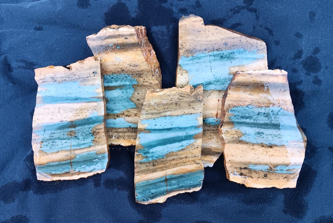 Mosquito Ridge Picture Jasper. Washington State Lapidary Slabs for ...