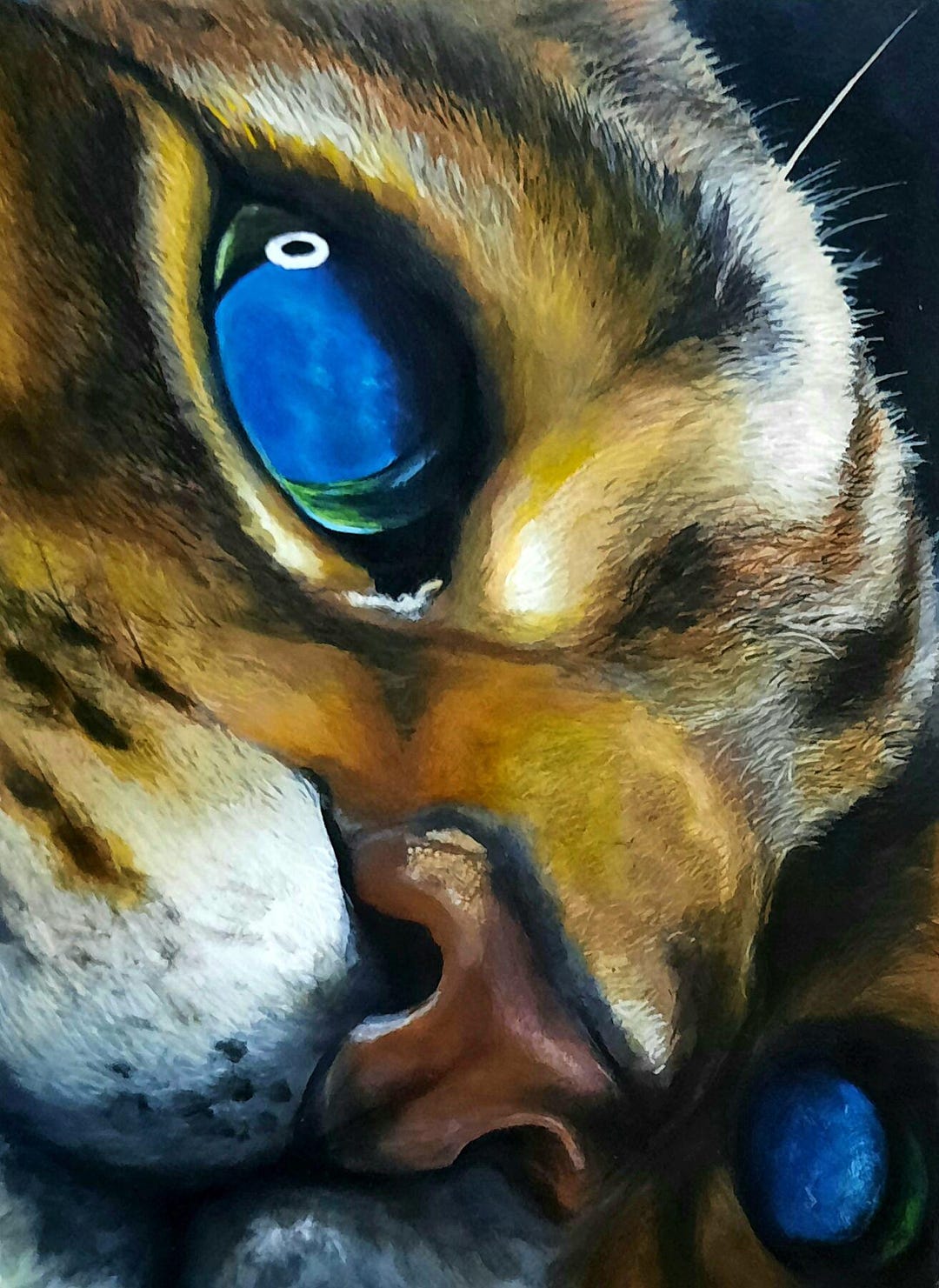 Tabby Cat Art Print, Cat Portrait, Pet Portrait, Cat Eye Print - Etsy
