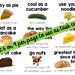Food Idioms Bulletin Board Kit - Etsy