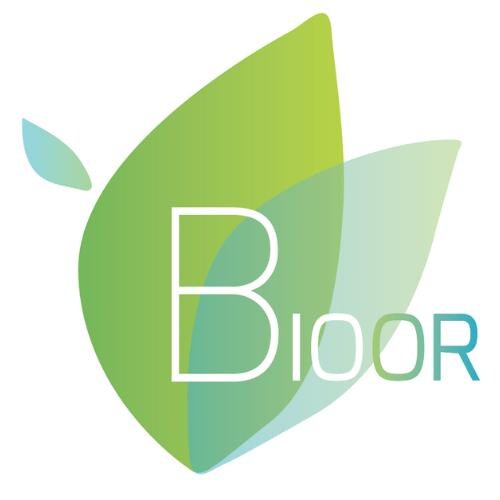BIOOR - Etsy