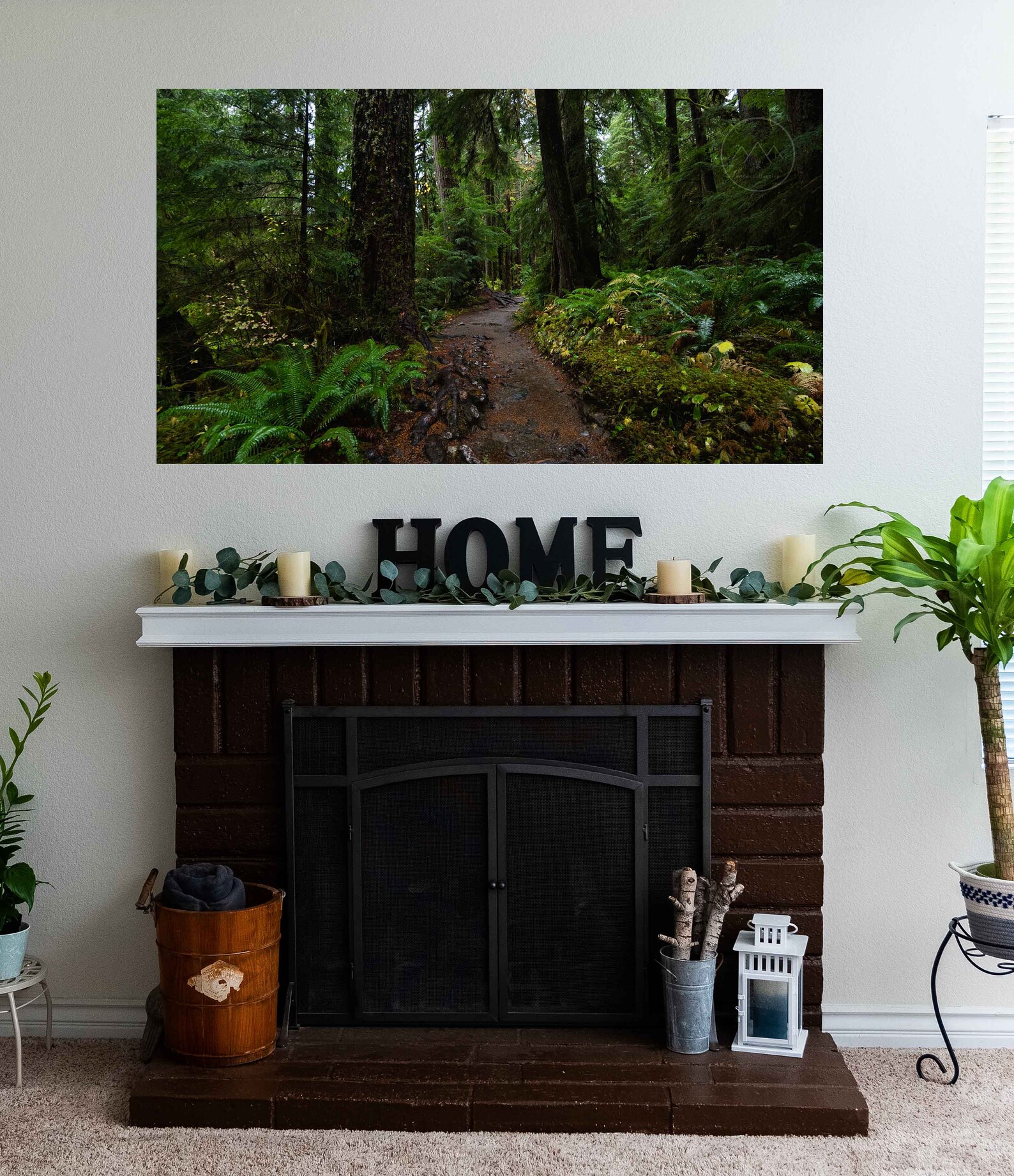 Forest Walk, HIGH RES Original Photograph Digital File, Multiple Sizes ...