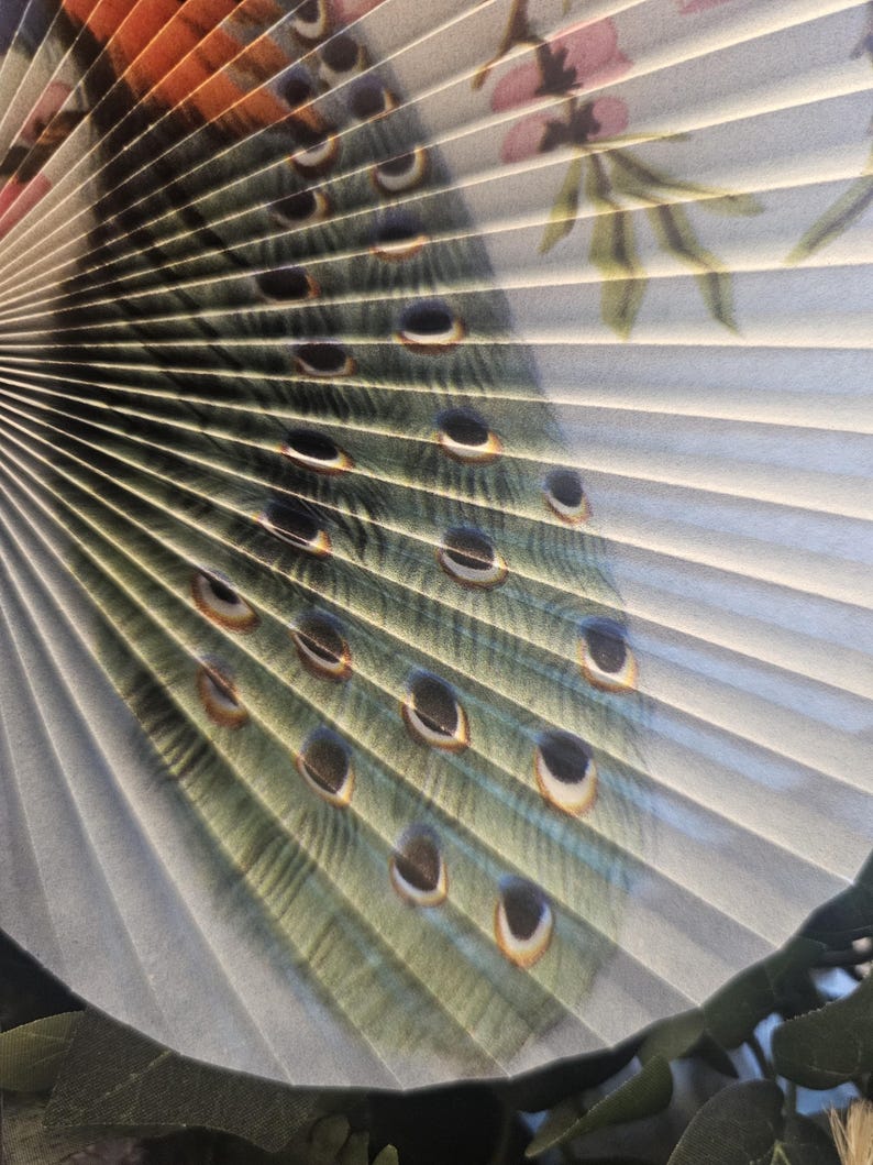 Beautiful Rare Vintage Republic of China Peacock Fan - Etsy
