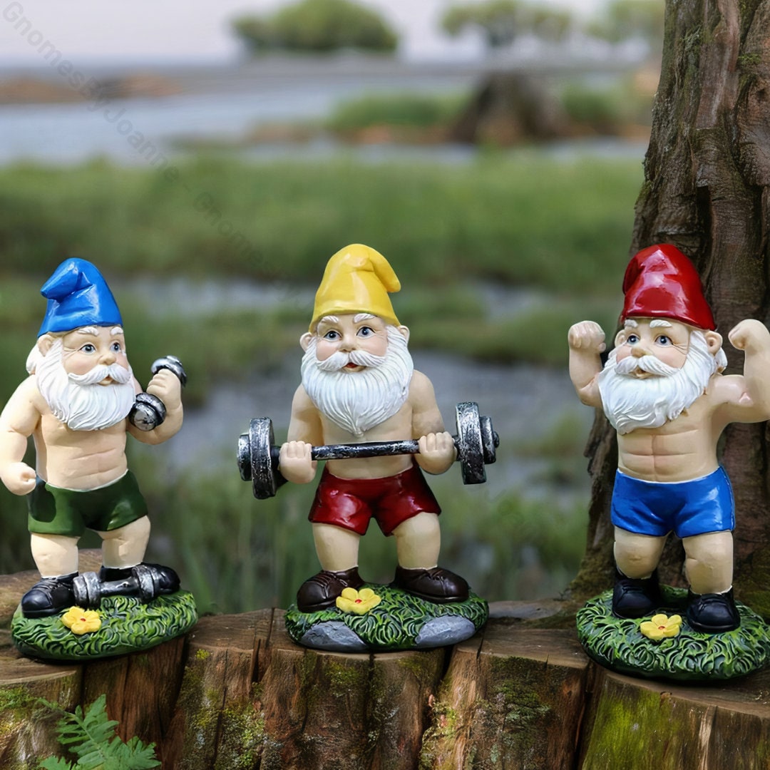 Bodybuilder Garden Gnome . Lifting Gnome . Lawn Decoration . Cool ...