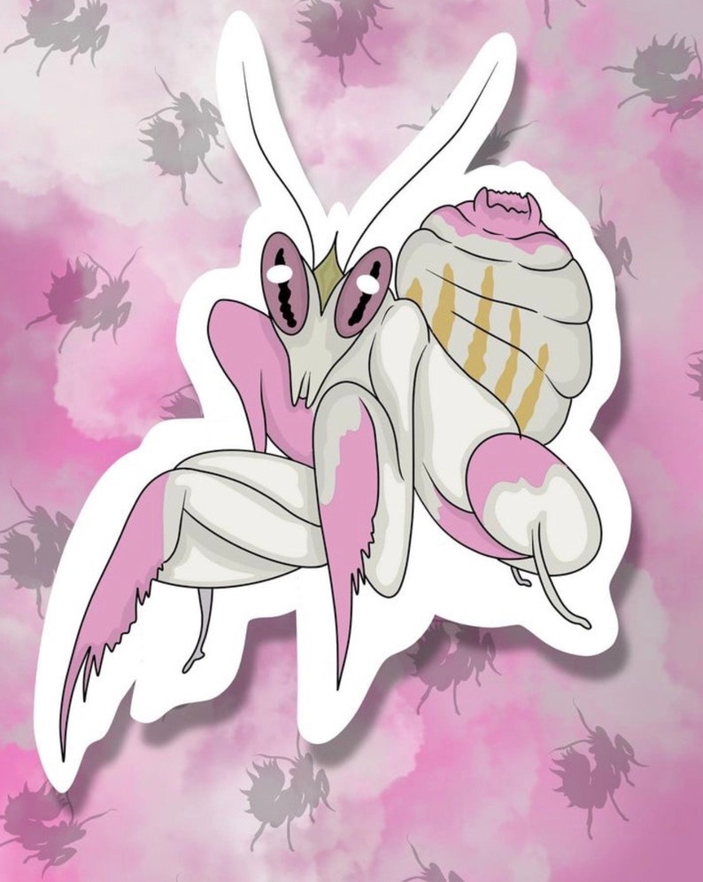 Orchid Praying Mantis Sticker Orchid Mantis Hymenopus Coronatus - Etsy