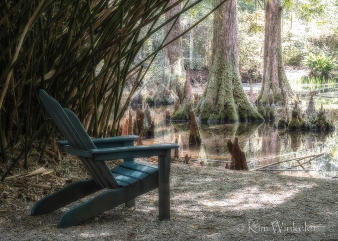 Adirondack Chair and Swamp 5x7 Fine Art Photograph - Etsy