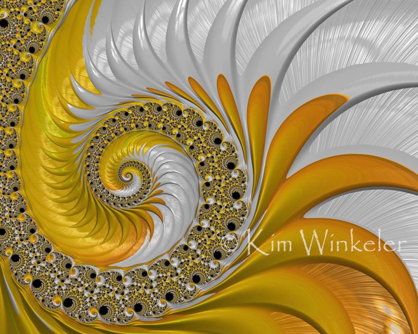 Orange Yellow White Seashell Fractal Fine Art Print 8x10 - Etsy