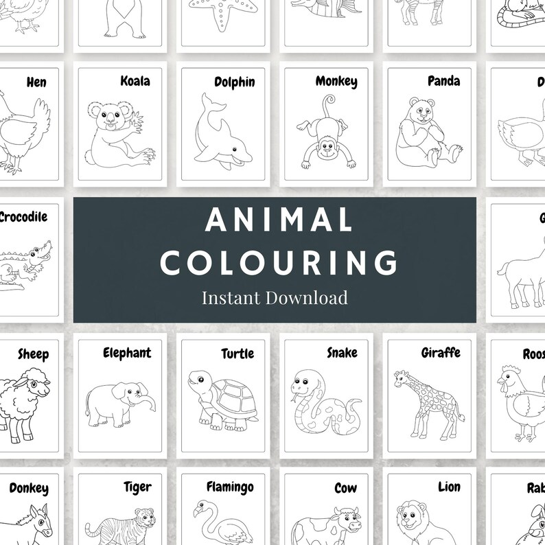 Printable Animal Coloring Pages for Kids | Fun Animal Designs | Instant ...
