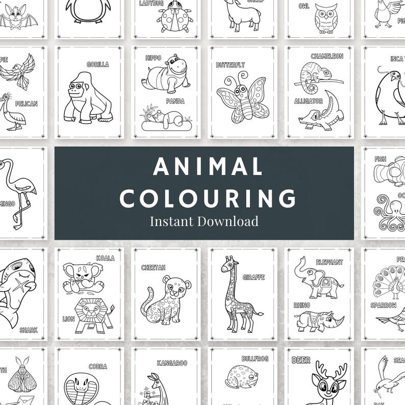 Printable Animal Coloring Pages for Kids Fun Animal Designs Instant ...