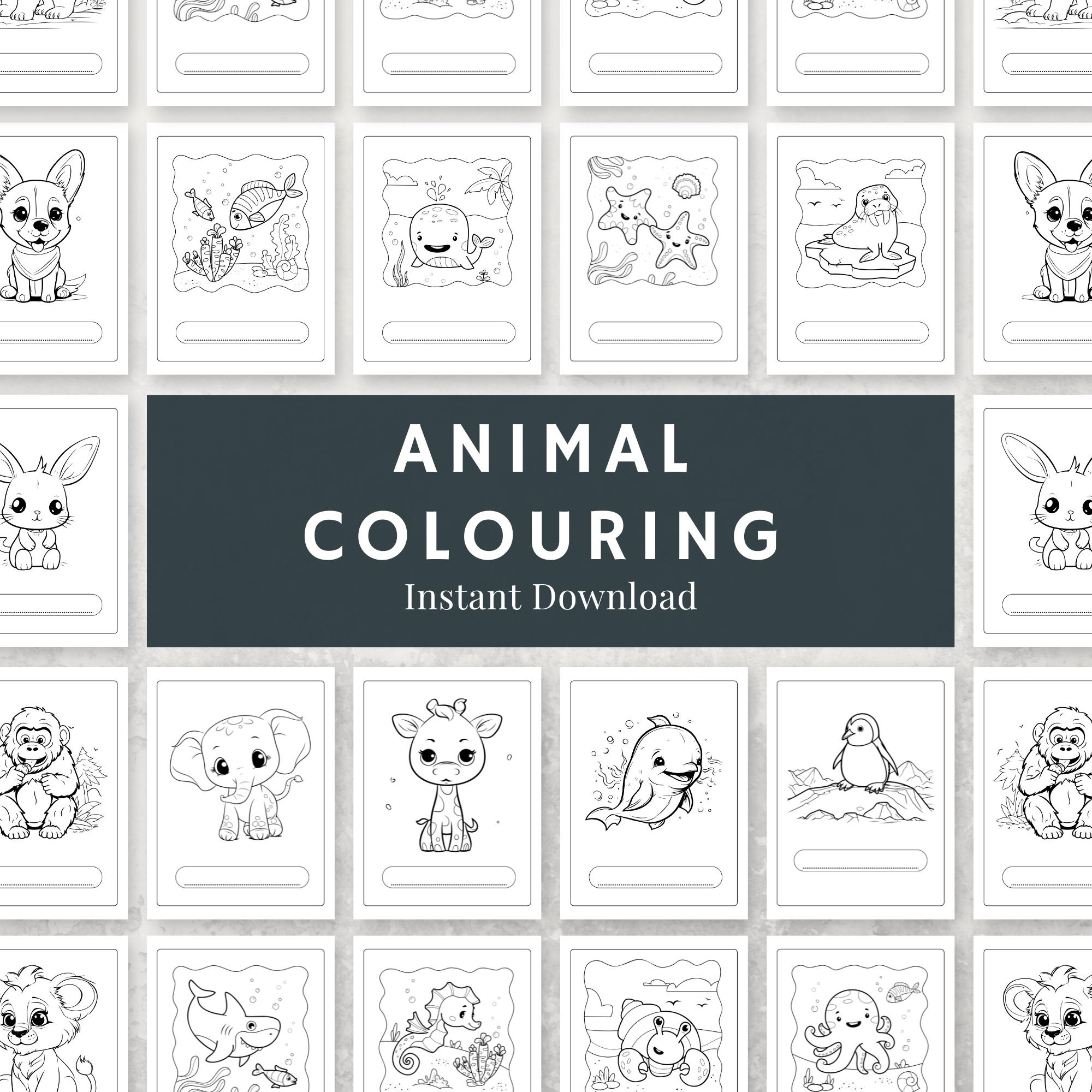 Printable Animal Coloring Pages for Kids | Fun Animal Designs | Instant ...