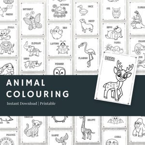 Printable Animal Coloring Pages for Kids | Fun Animal Designs | Instant ...