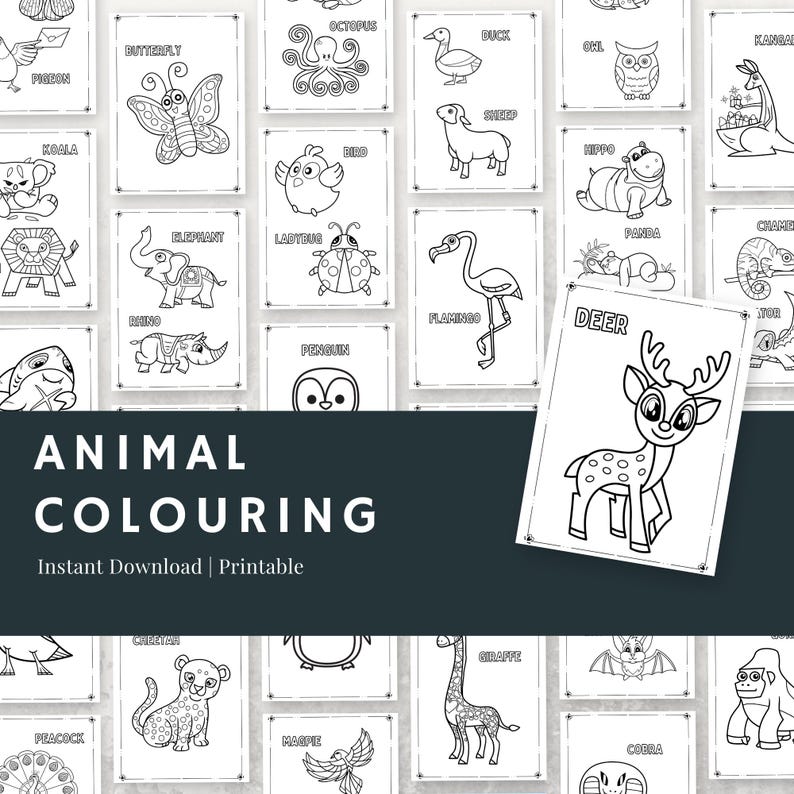 Printable Animal Coloring Pages for Kids Fun Animal Designs Instant ...