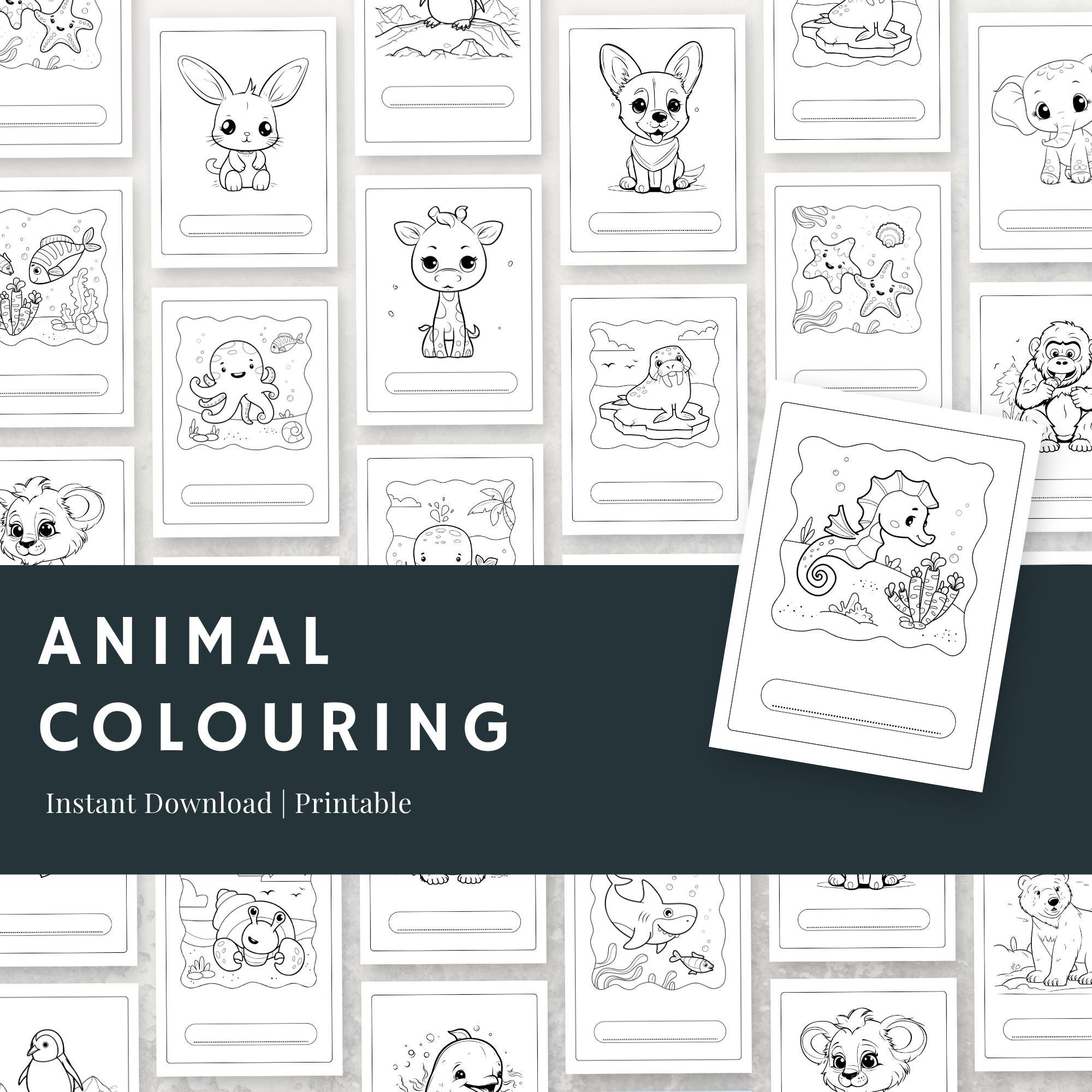 Printable Animal Coloring Pages for Kids | Fun Animal Designs | Instant ...