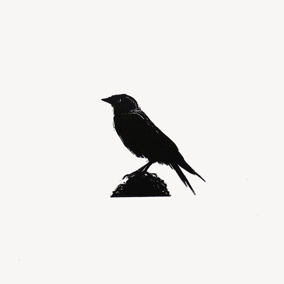 Jackdaw Wood Engraving Print, Handprinted Original Limited Edition Fine ...