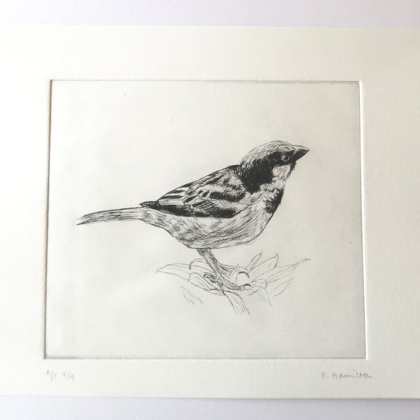 Drypoint Etching - Etsy UK
