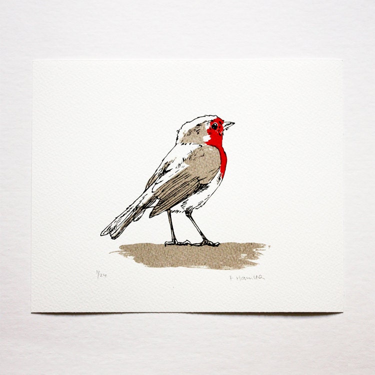 Robin Mini Print — Fiona Hamilton
