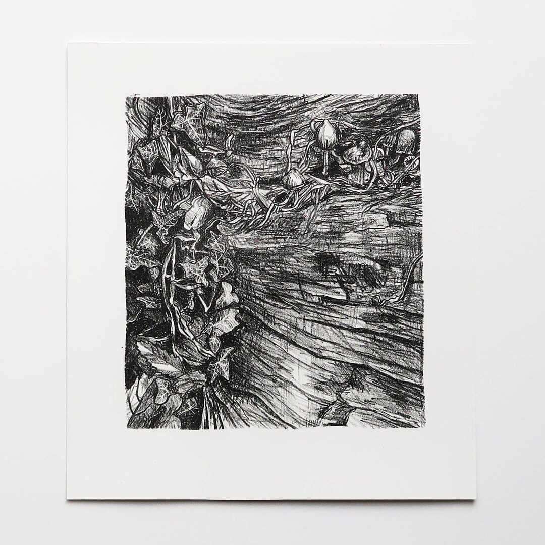 Decomposition Original Stone Lithographic Print, Limited Edition ...