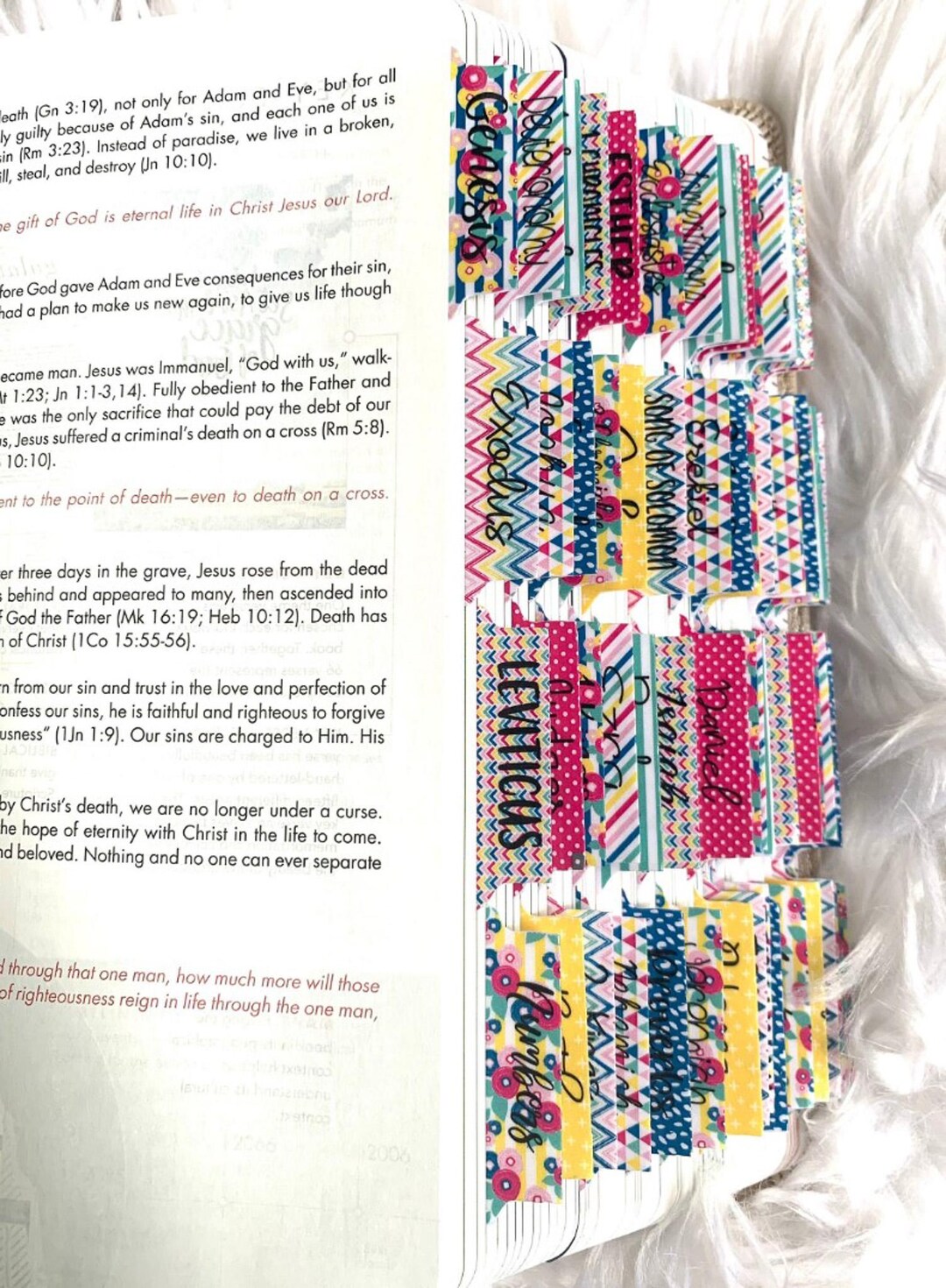 Wait Books the Bible Tabs With Pretty Gifts for Christian Bible Tab ...