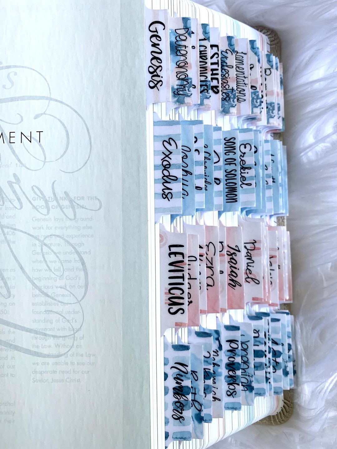When You Speak Books the Bible Tabs With Pretty Gifts for Christian ...