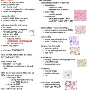 Veterinary Clinical Pathology Notes - Etsy