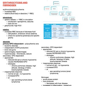 Veterinary Clinical Pathology Notes - Etsy