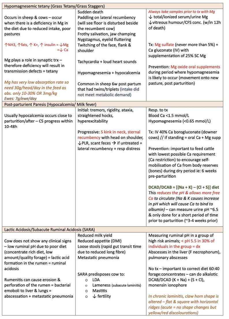 NAVLE Study Guide Disease Template - Etsy