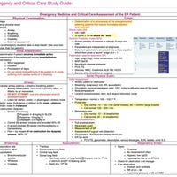 Printable Veterinary Emergency Medication and CPR Guide (updated 2024 ...