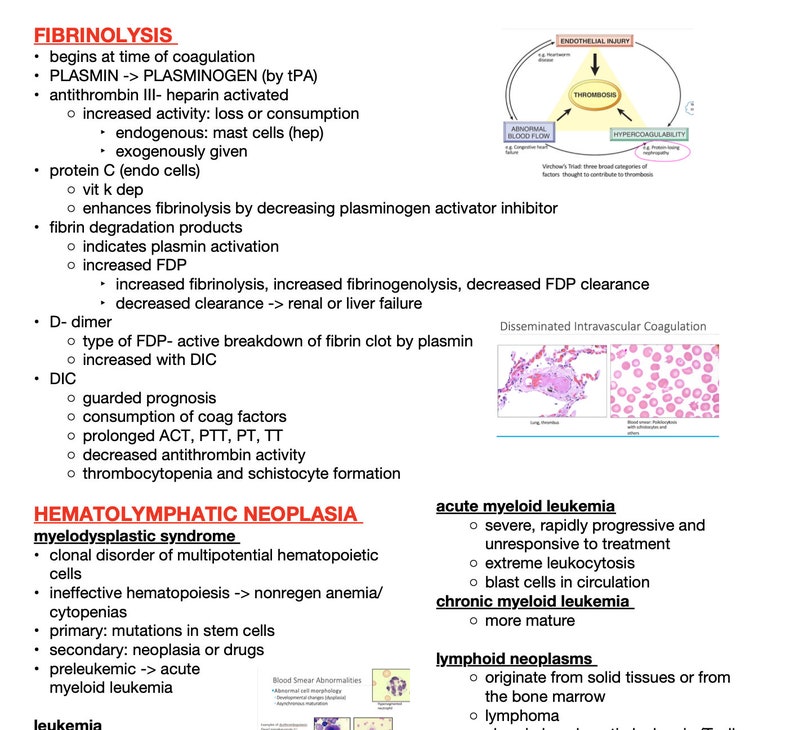 Veterinary Clinical Pathology Notes - Etsy