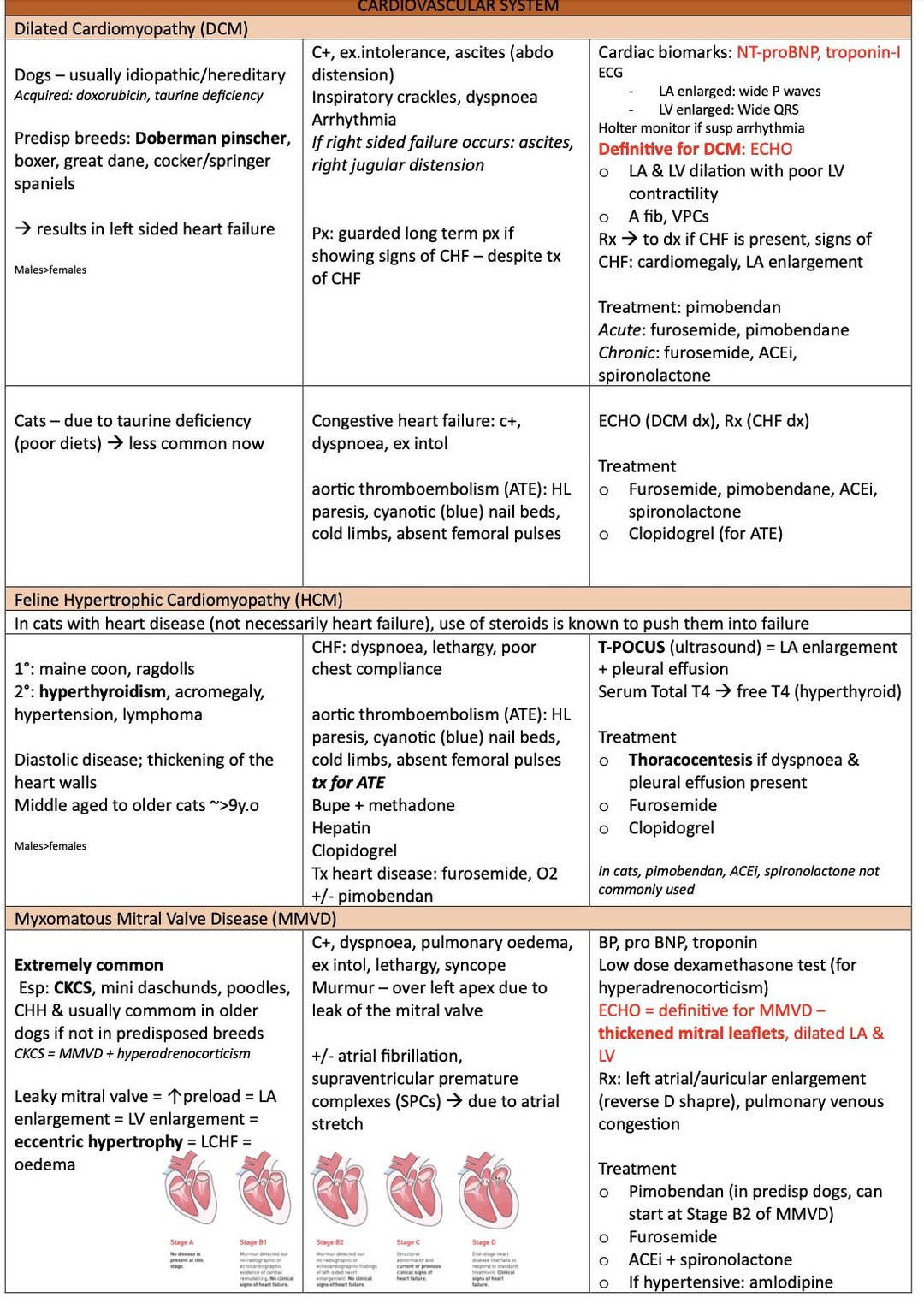 NAVLE Study Guide Disease Template - Etsy