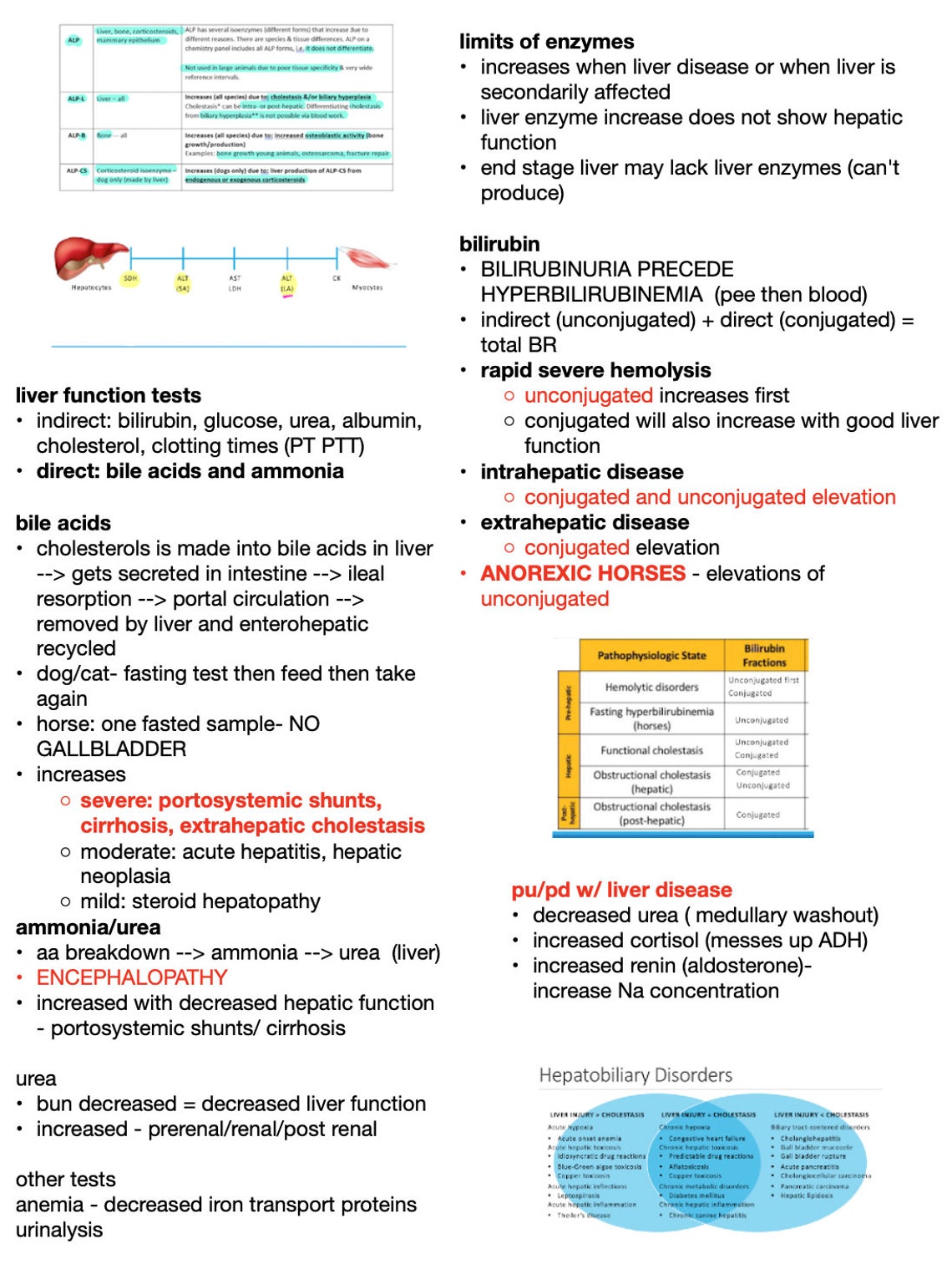 Veterinary Clinical Pathology Notes - Etsy