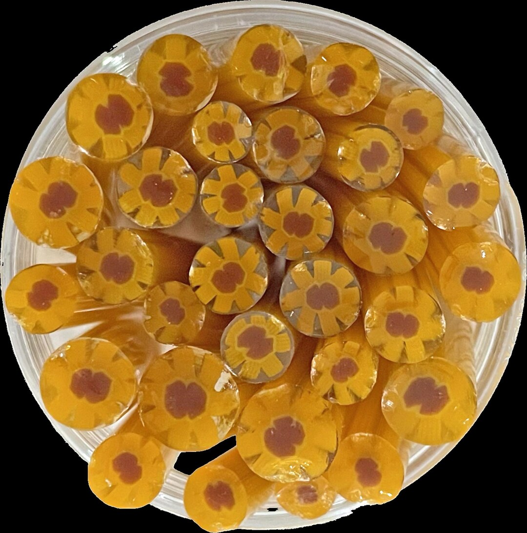 Murrini- 96 Coe- 1 Oz. Sunflower 2" Pieces- Vitrigraph Cane, Murrini ...