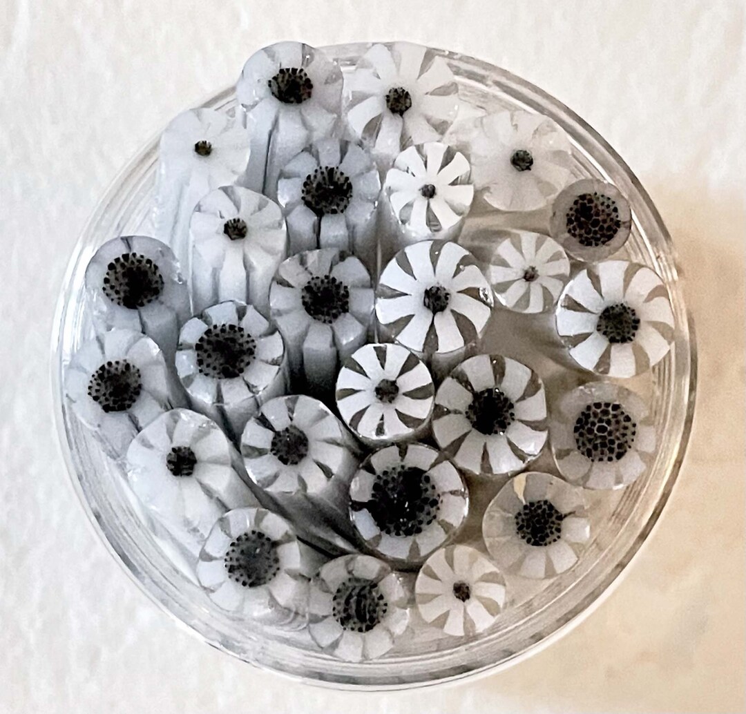 Murrini 96 Coe Black and White Flower 2 Pieces Vitrigraph Cane, Murrini ...