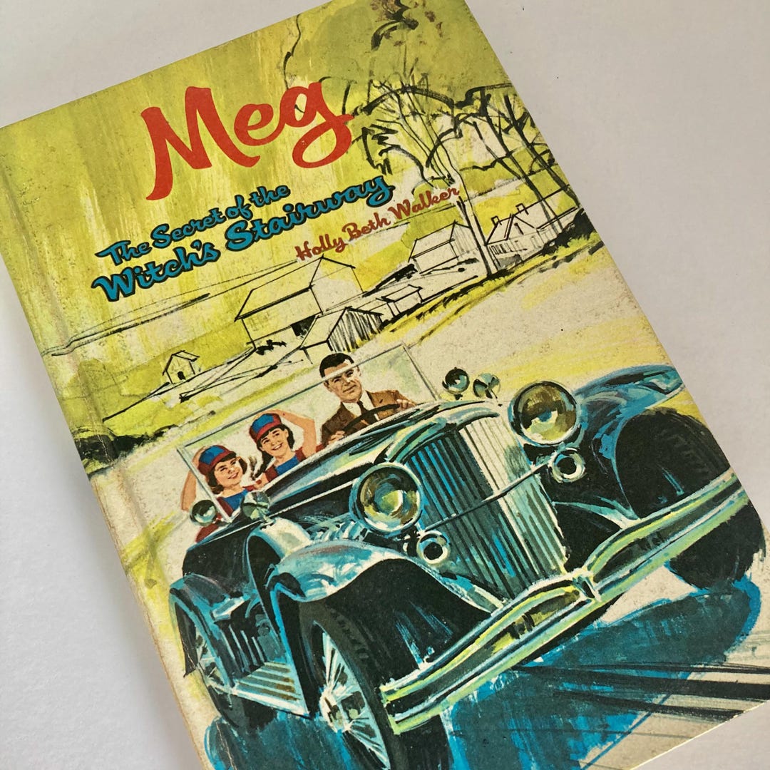 Children's Book, Meg Secret of the Witch's Stairway, by Holly Walker ...
