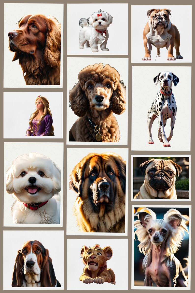 4K Background and Background Free of All the Unique Dog Breeds for ...