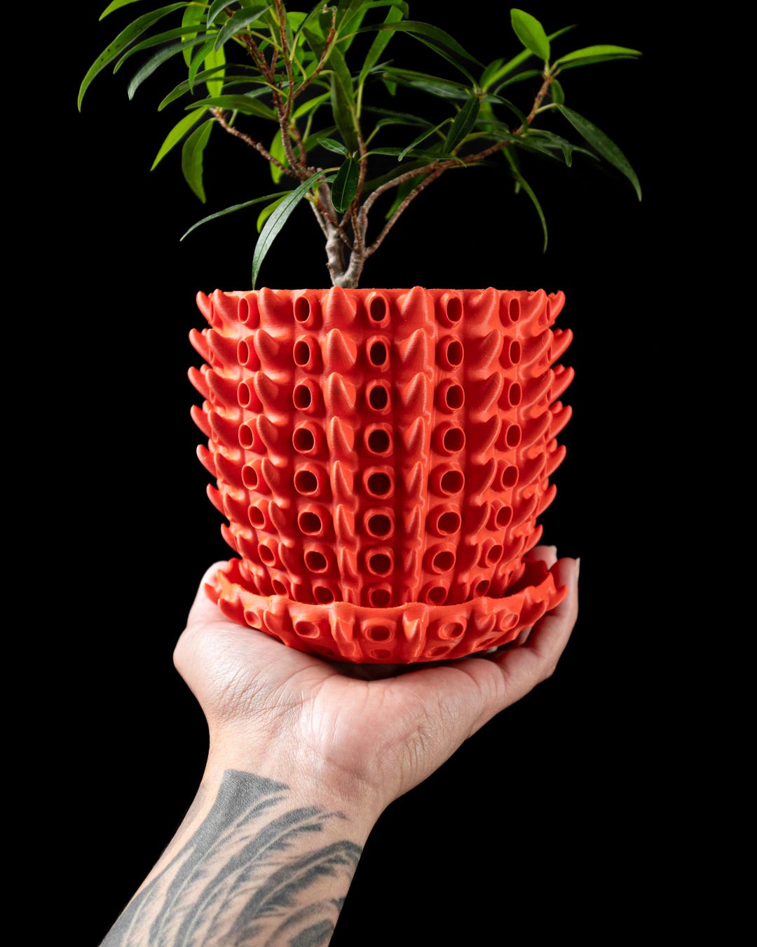 The Barnacle Planter Pot With Drainage Tray | Modern and Unique Home ...
