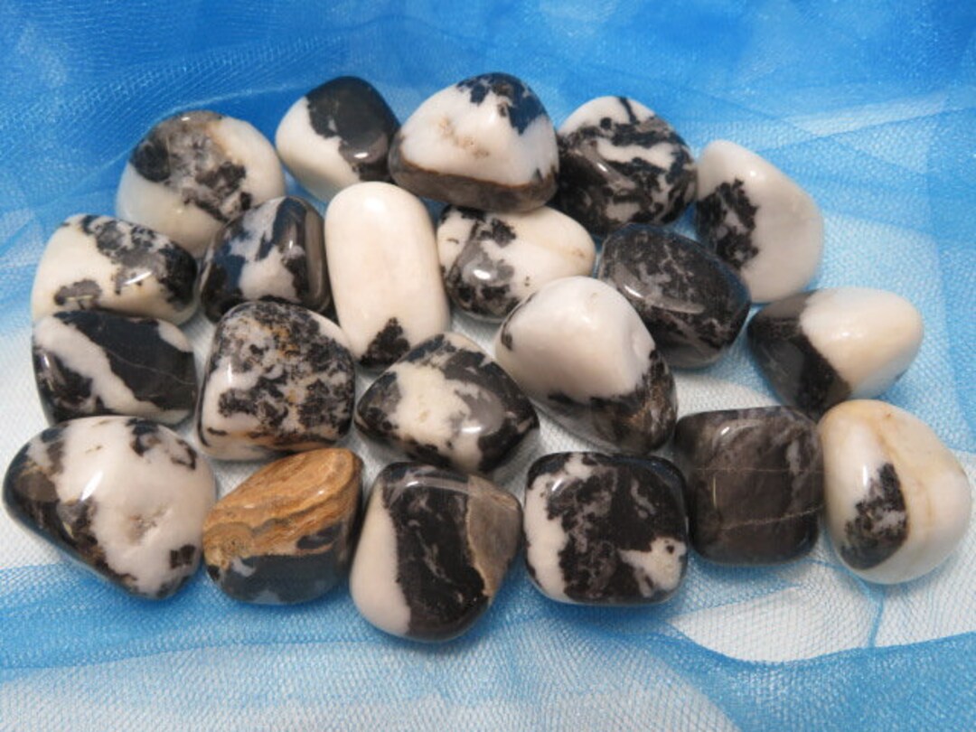 2 Zebra Marble Tumbled Stone All Chakras - Etsy