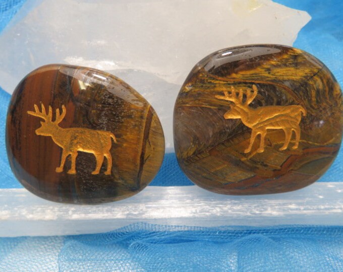 DEER Animal Spirit Totem Gold Tiger Eye Tumbled Stone Solar Plexus ...
