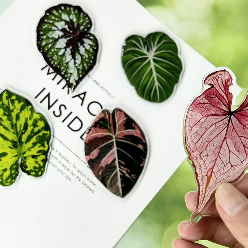 Fridge Magnet Set - Etsy