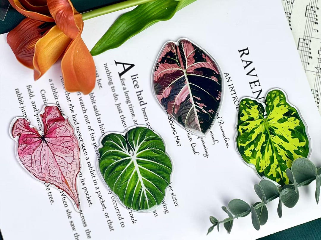 Mini Plant Fridge Magnet Set Gifts, Cute Monstera Leaf Fridge Magnet ...